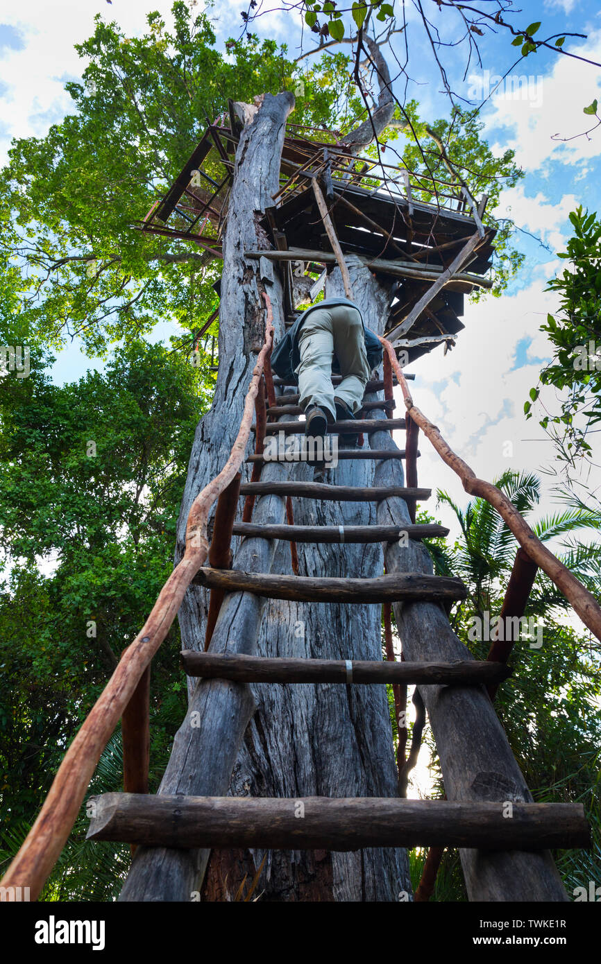 Viewing tower, Kasanka Bat migration, Kasanka National Park, Serenje ...