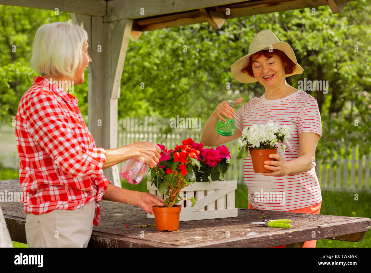 Ladies feeling good. Aged beautiful ladies feeling good while talking ...