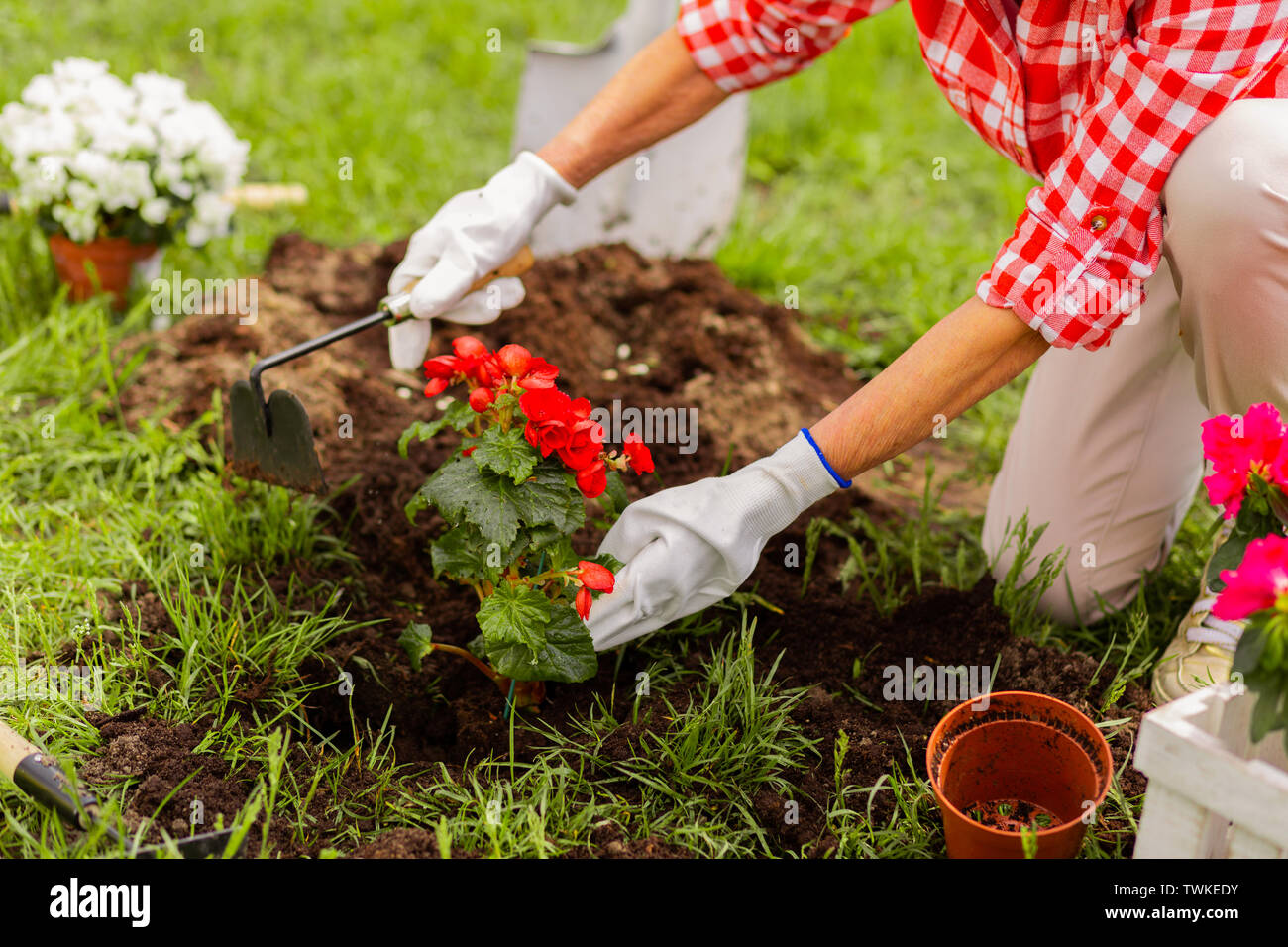 Woman digging ground. Top view of woman wearing white flowers digging ...