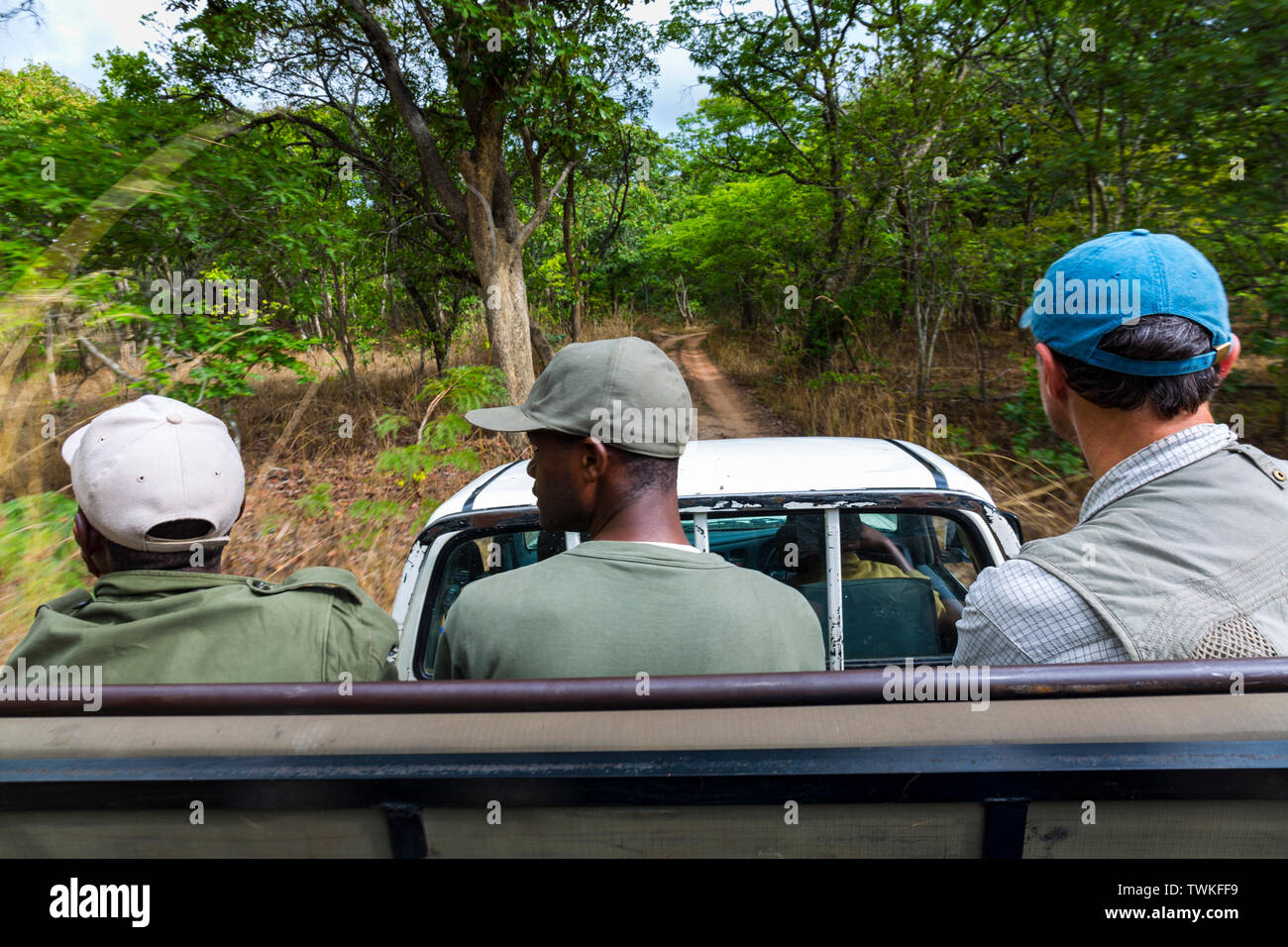 Kasanka National Park, Serenje, Zambia, Africa Stock Photo - Alamy