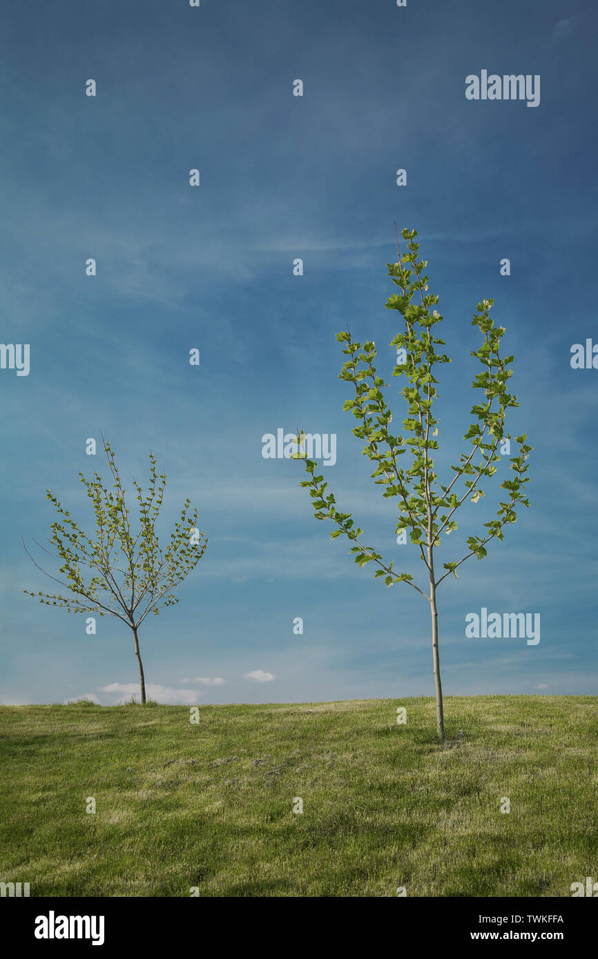 Two trees hill hi-res stock photography and images - Alamy