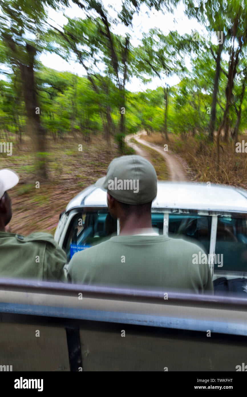 Kasanka National Park, Serenje, Zambia, Africa Stock Photo - Alamy