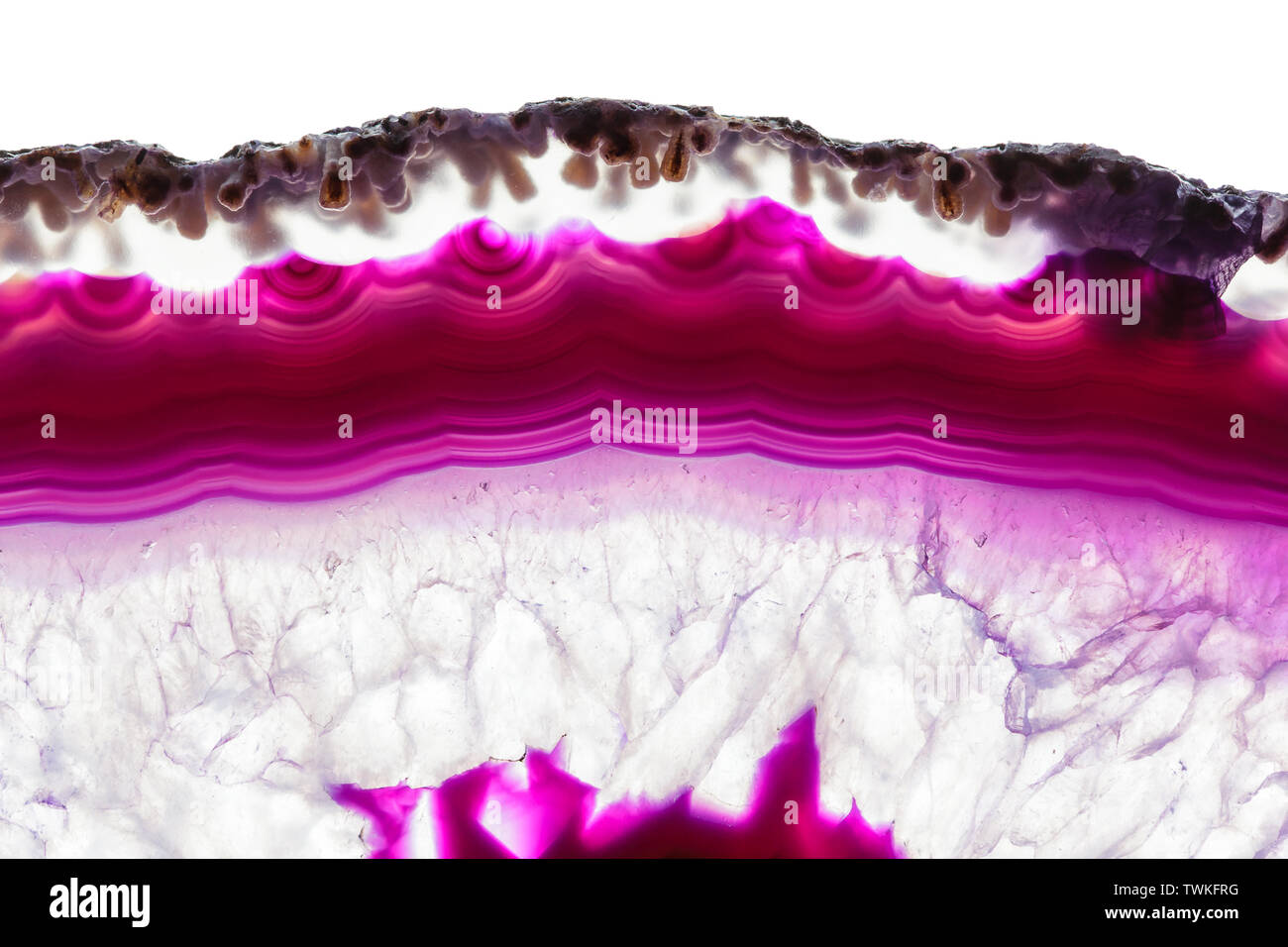 Purple violet agate slice striped mineral isolated on white, abstract ...