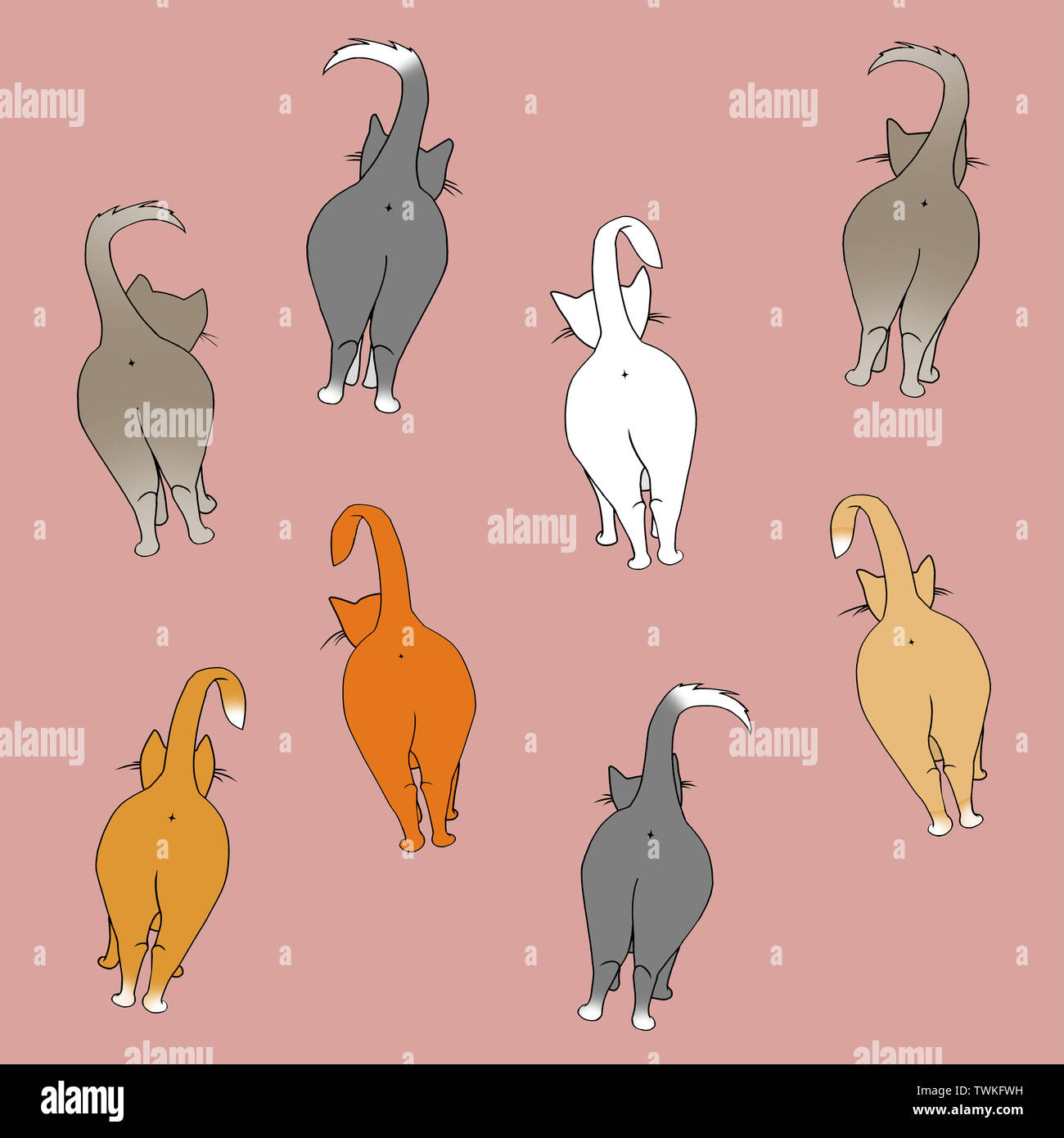 Short Tails High Resolution Stock Photography and Images - Alamy