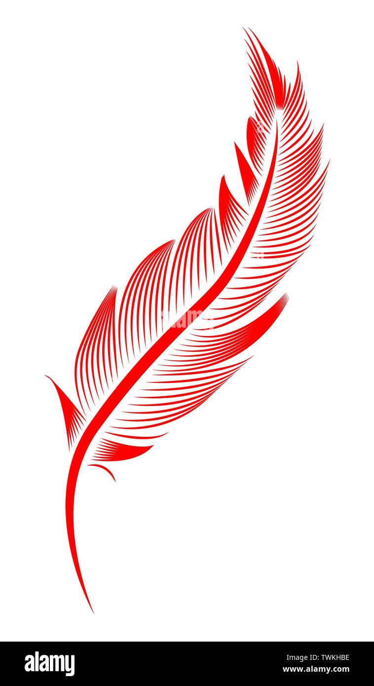 Red feather on white background, isolated. Ease, letter, flight Stock ...