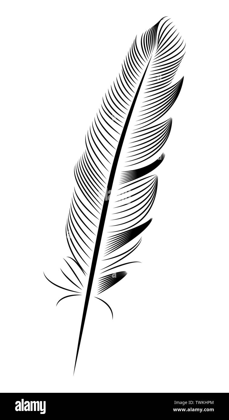 feather illustration, drawing, engraving, ink line art Stock Vector ...