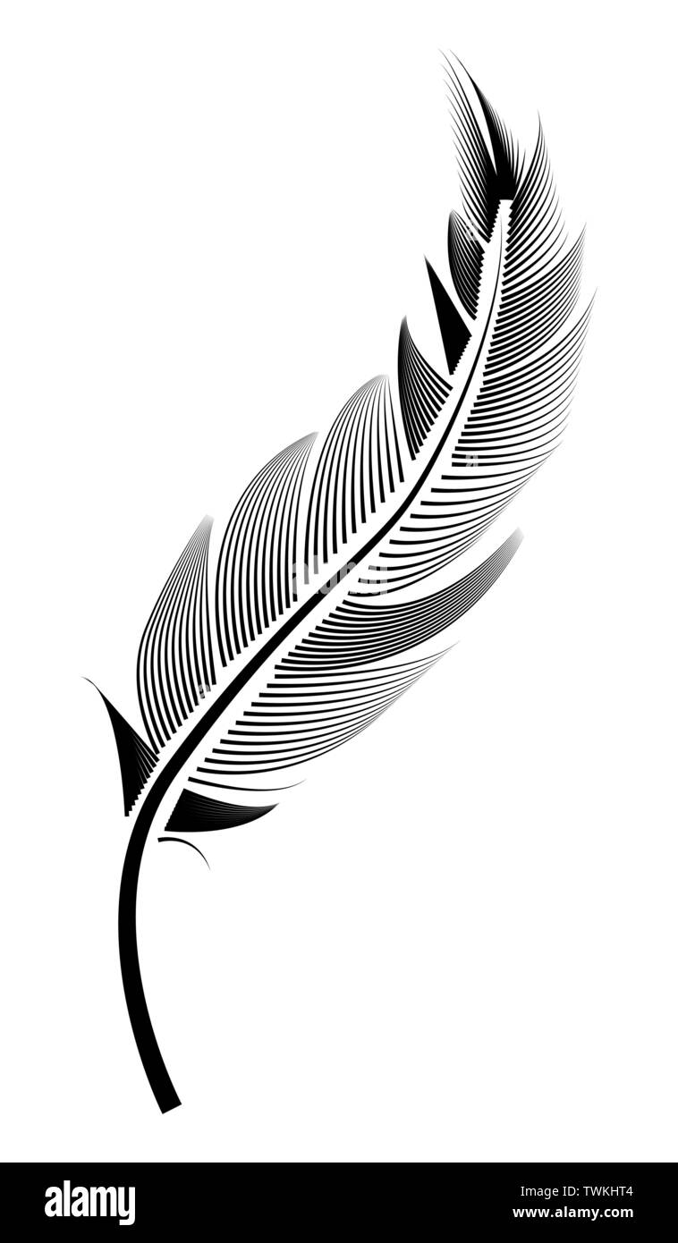 feather illustration, drawing, engraving, ink line art Stock Vector ...
