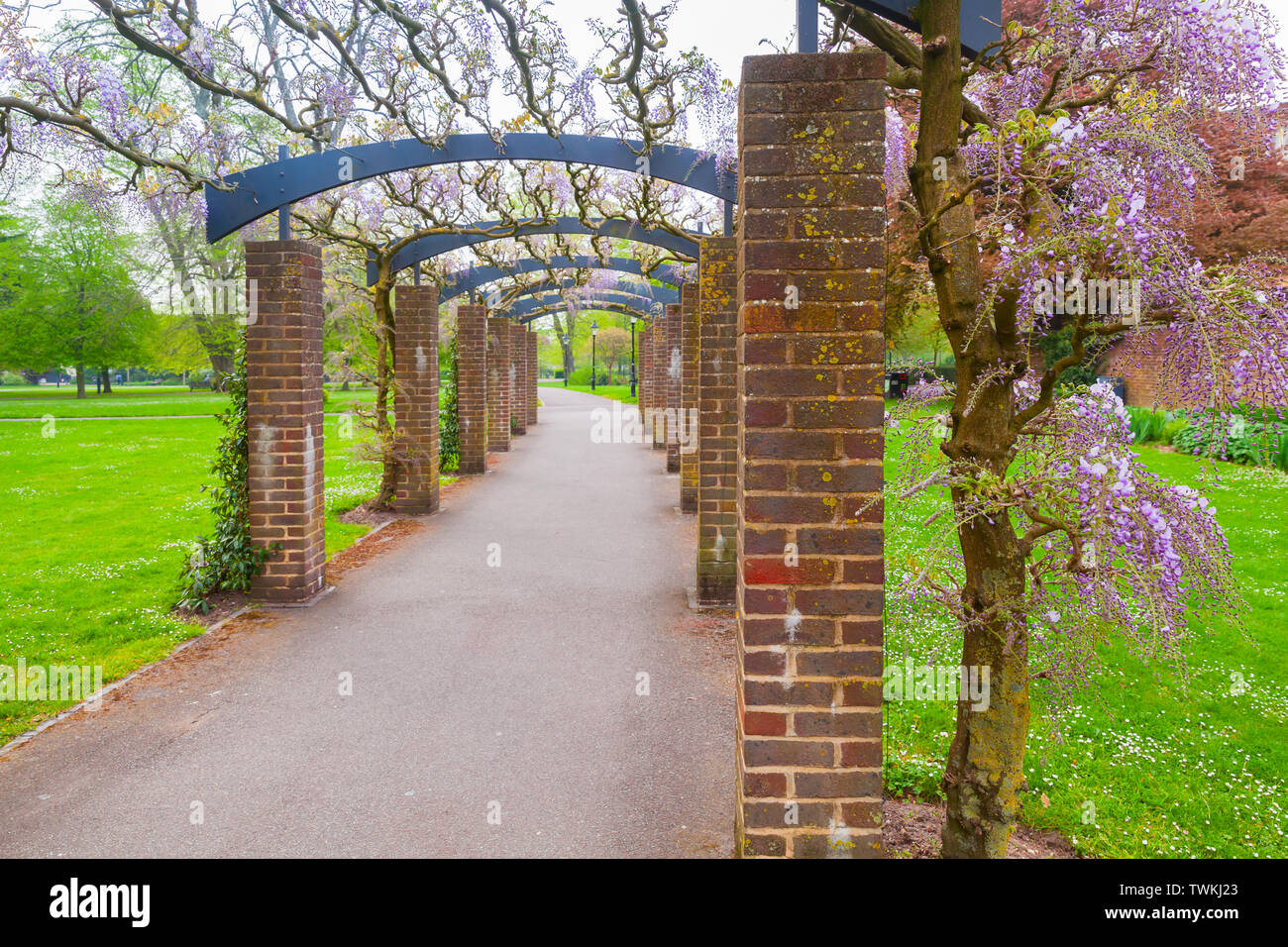 Town park beauty hi-res stock photography and images - Alamy