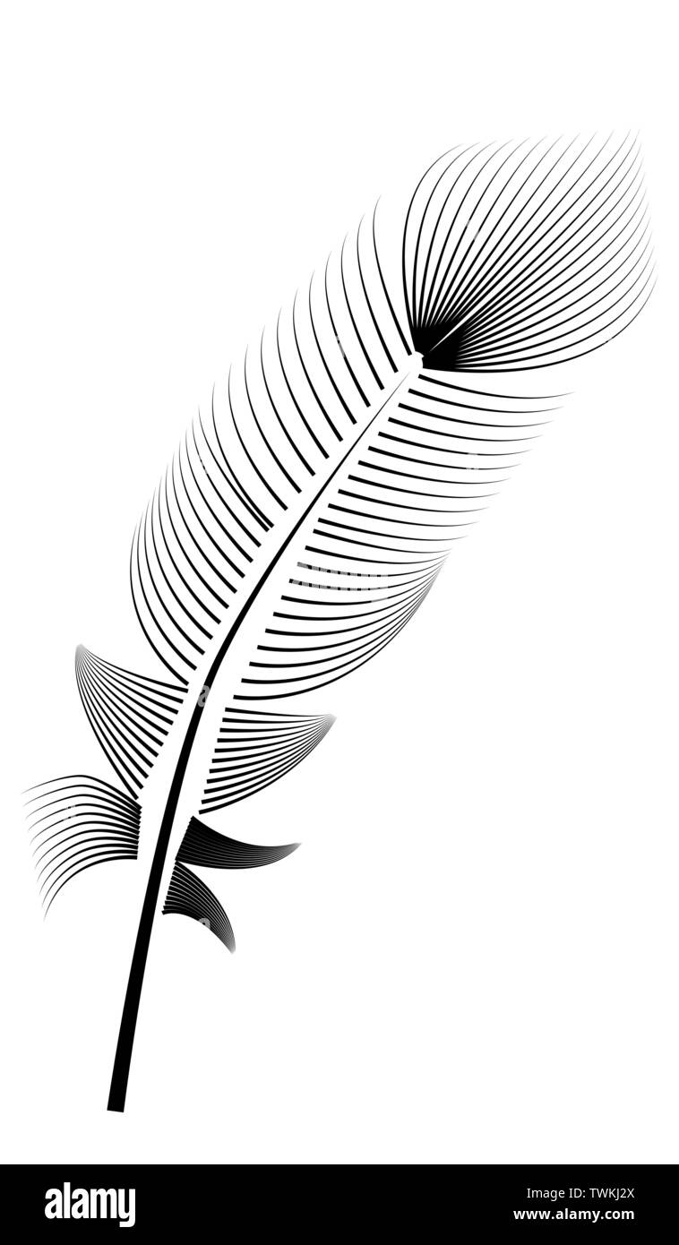 feather illustration, drawing, engraving, ink line art Stock Vector ...