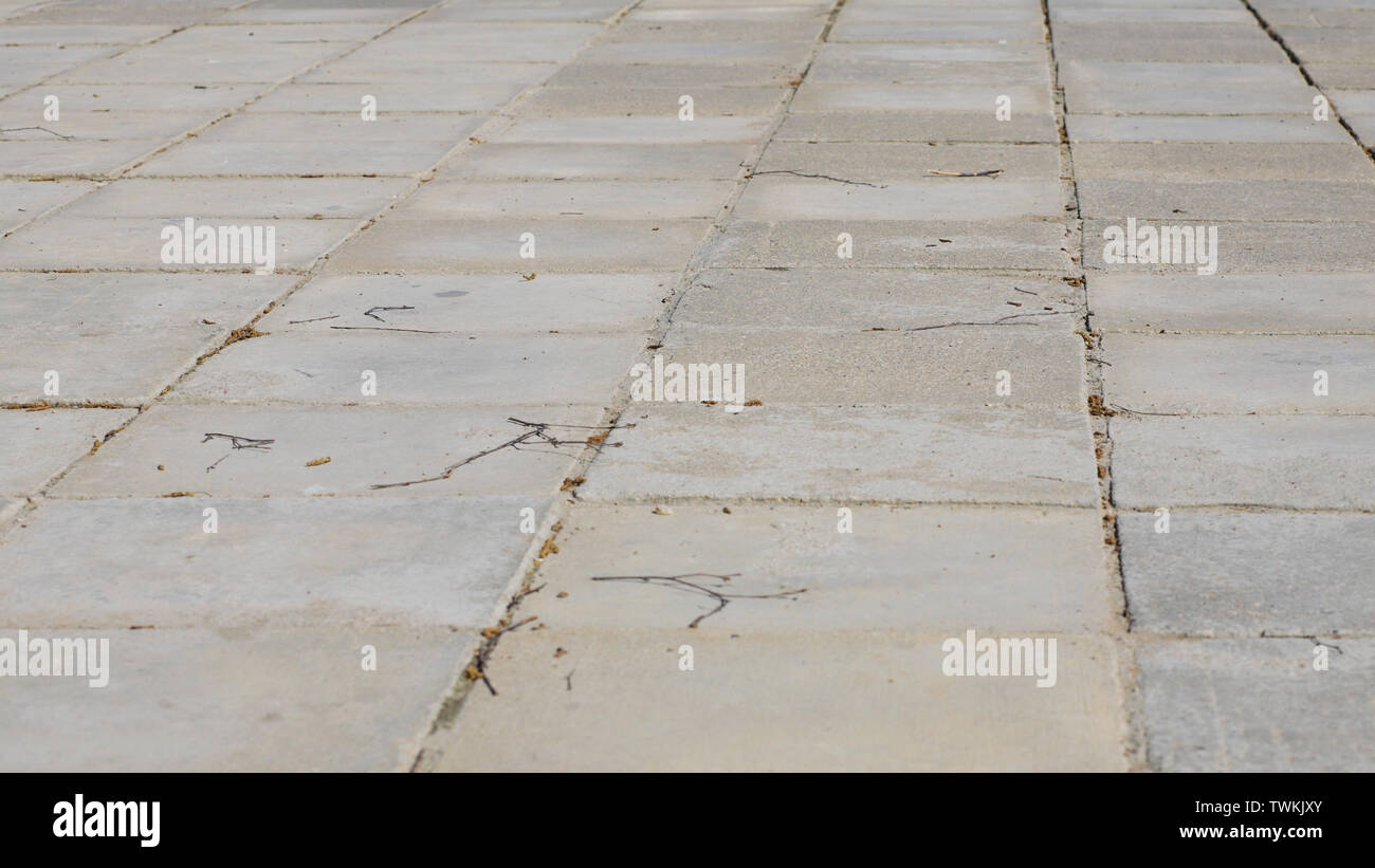 block road in park at spring Stock Photo - Alamy