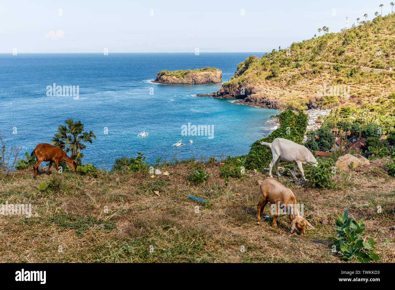 Views of Amed - ocean, bay, houses, goats, Karangasem Regency, Bali ...