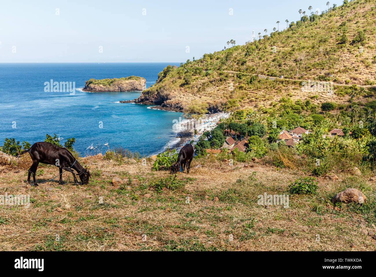 Views of Amed - ocean, bay, houses, goats, Karangasem Regency, Bali ...