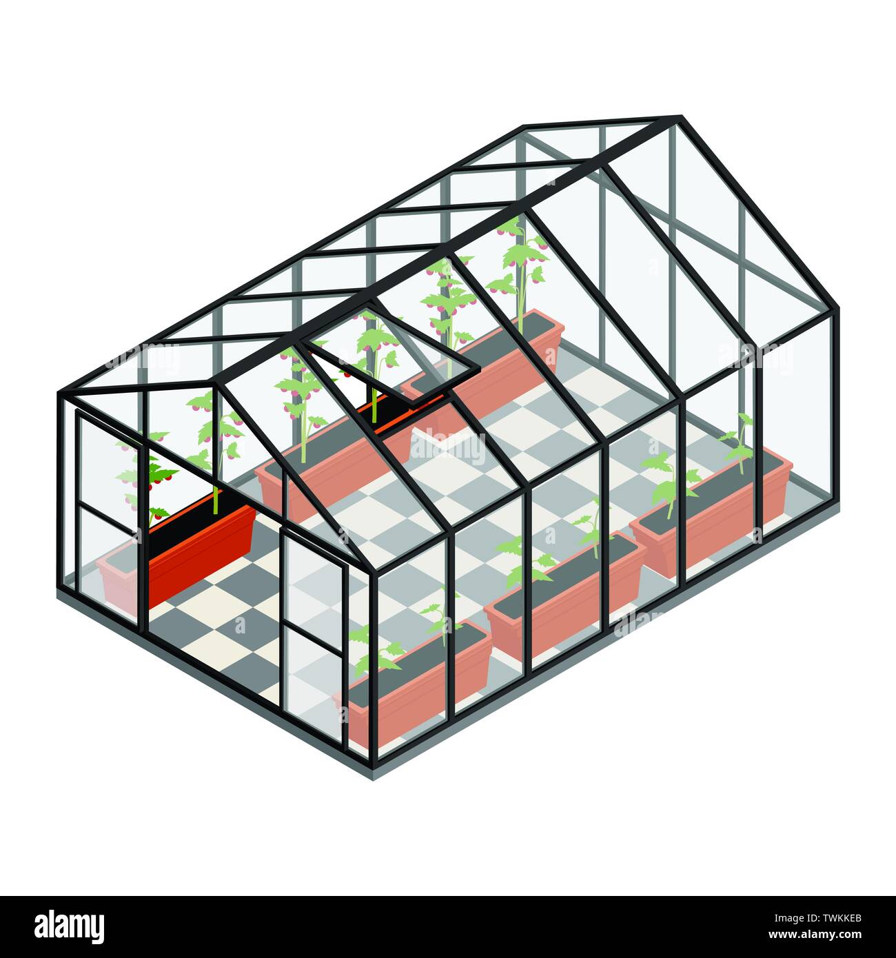 Greenhouse at an organic farm. Growing tomatoes isometric view. Glass ...