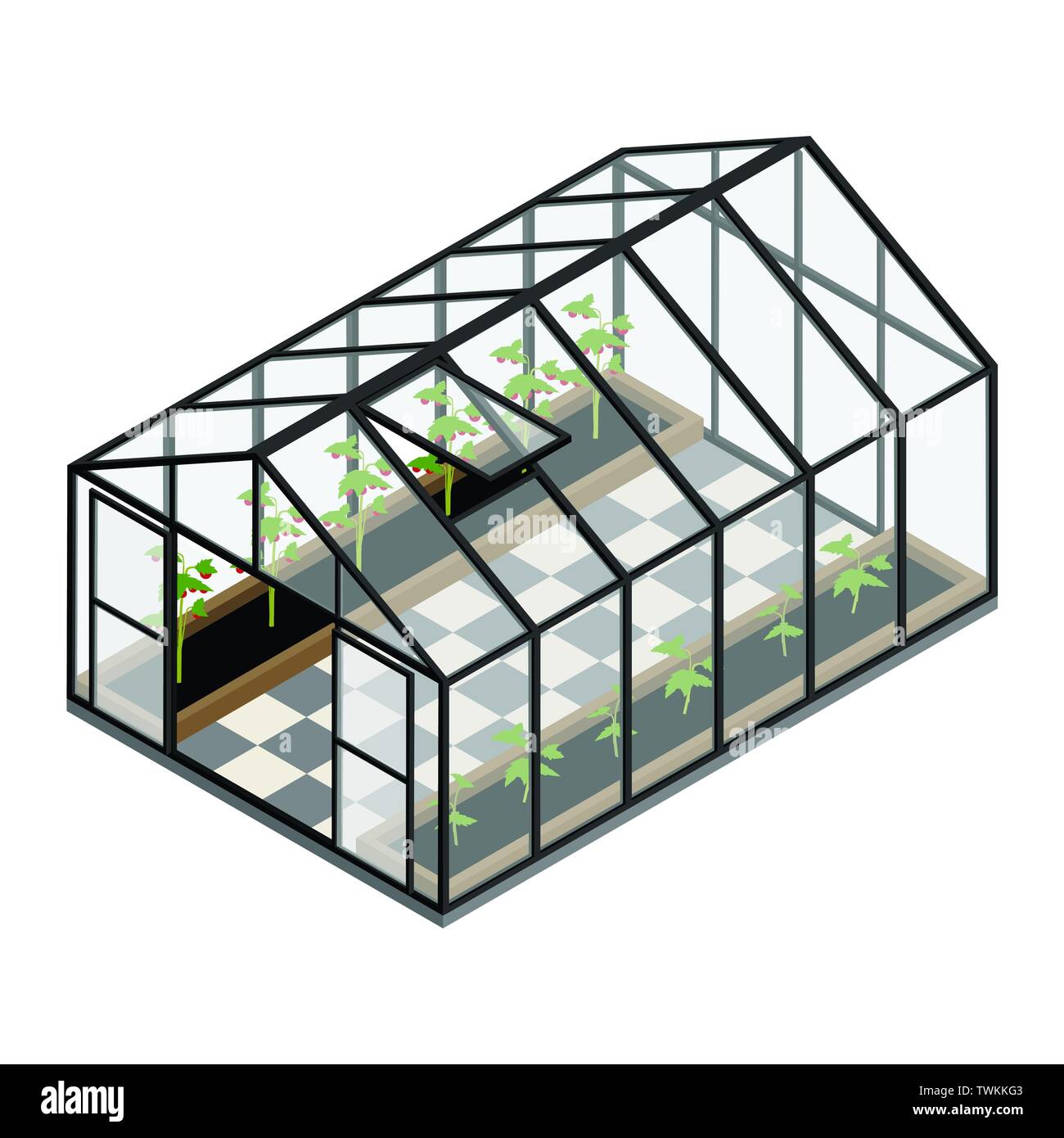 Greenhouse at an organic farm. Growing tomatoes isometric view. Glass ...