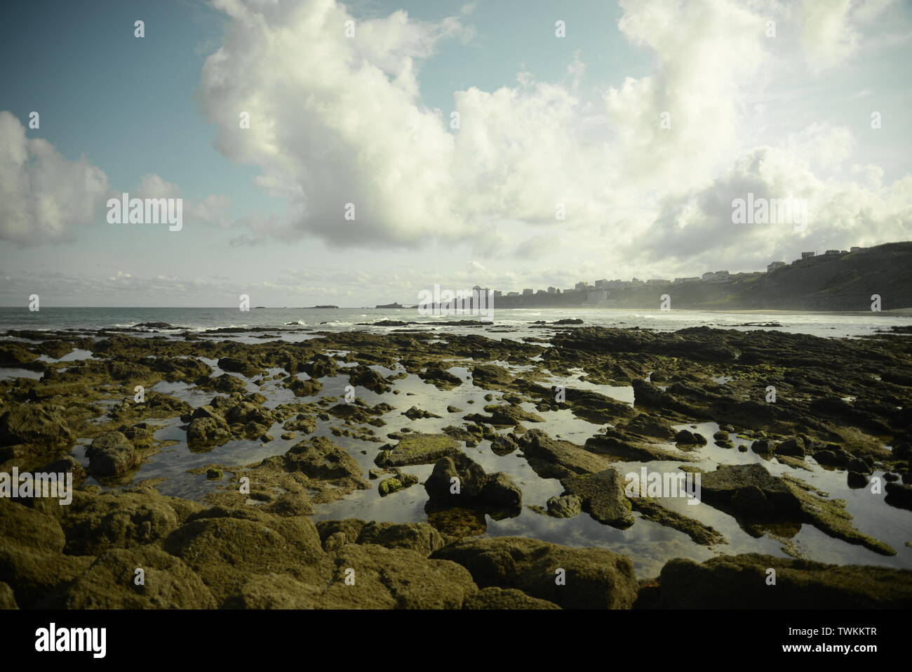 Exploring the rock pools hi-res stock photography and images - Alamy
