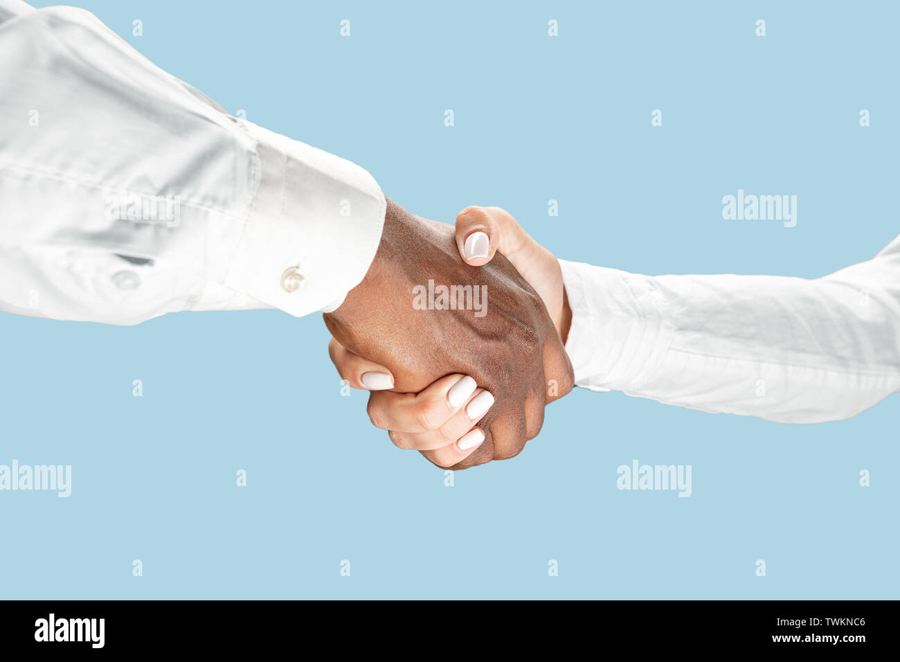 Joint plans for the future. Teamwork and communications. Male and ...