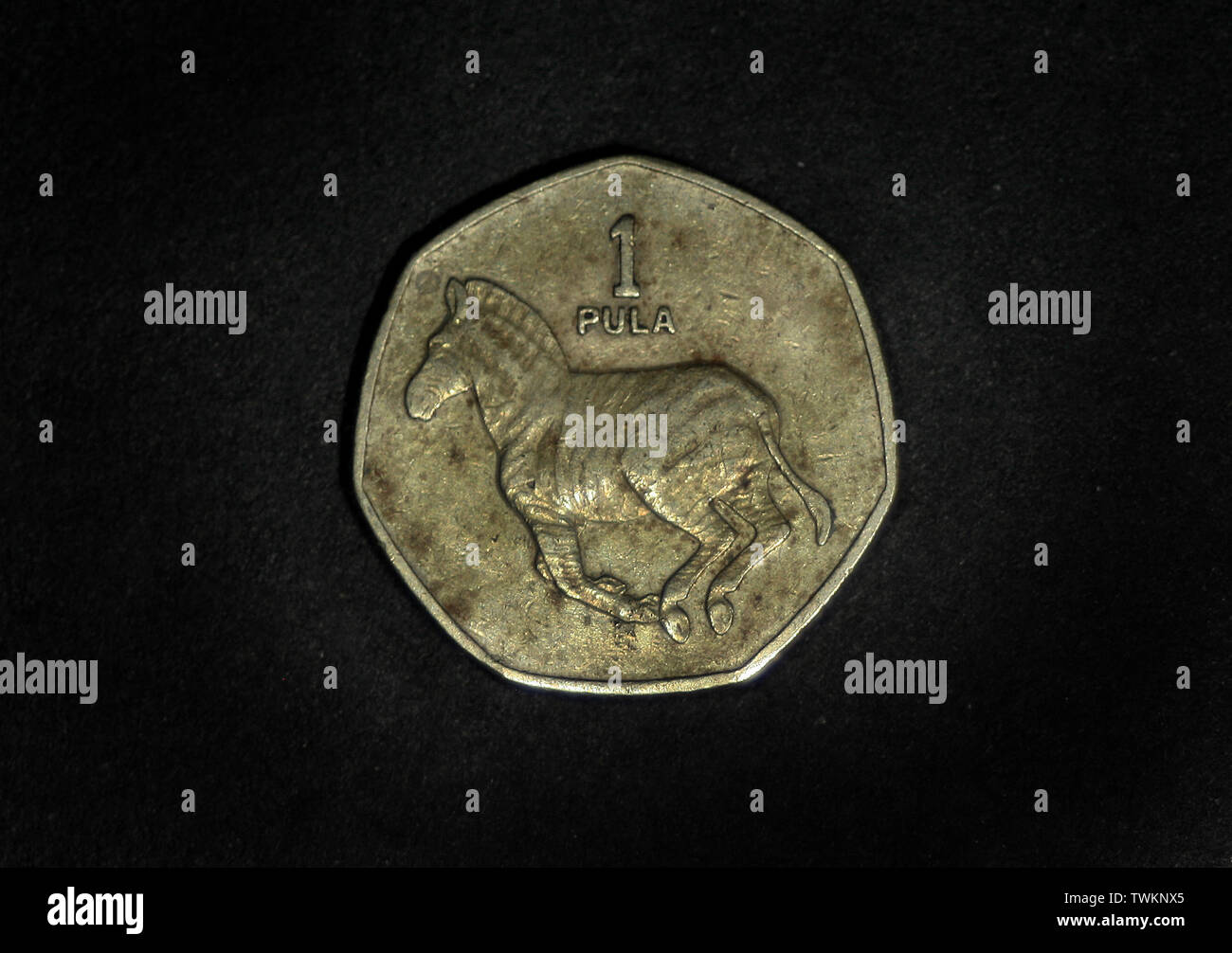 Botswana 1 pula, 1991-2007 Stock Photo - Alamy