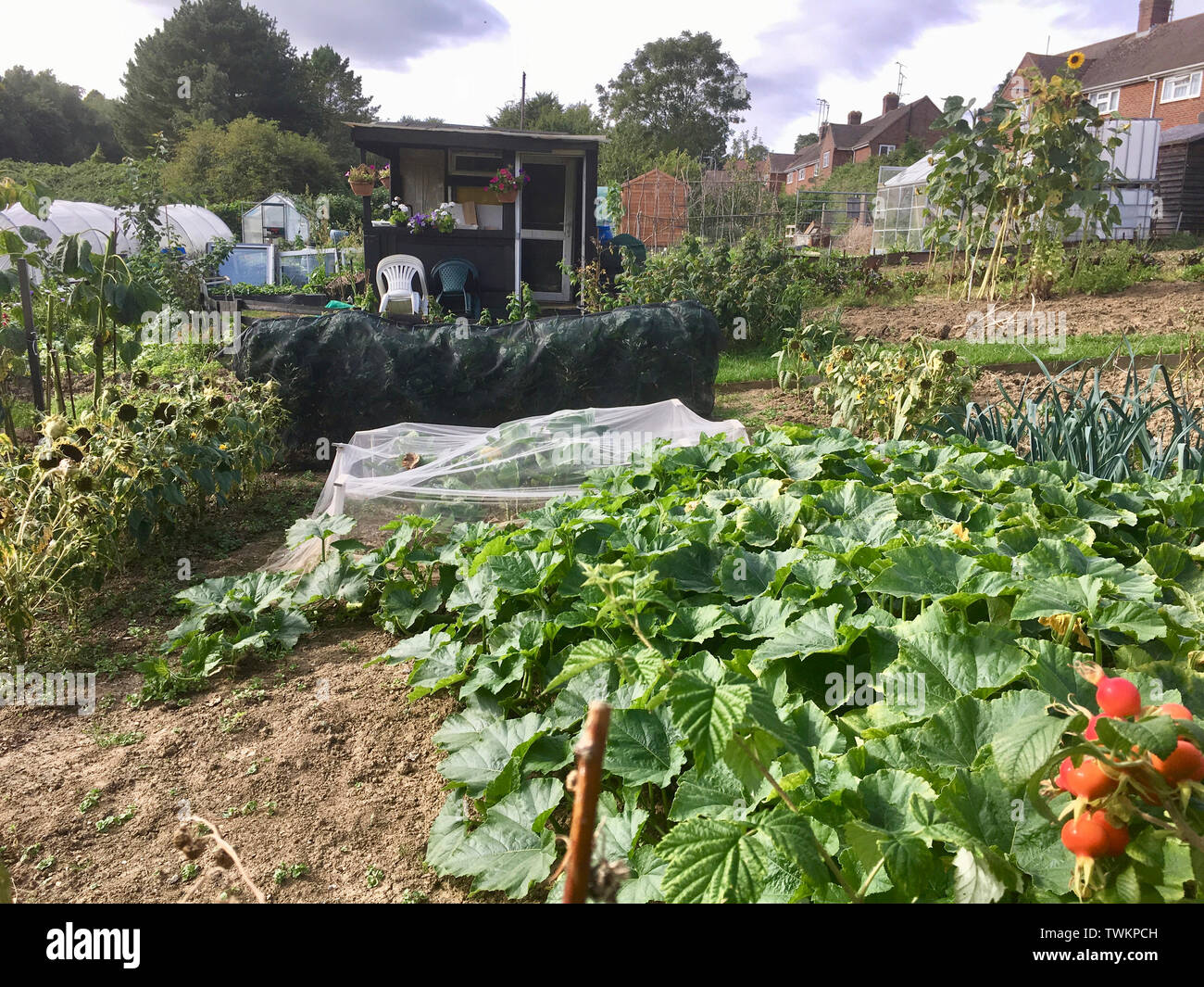 Plots of land for growing fruit and vegetables hi-res stock photography ...