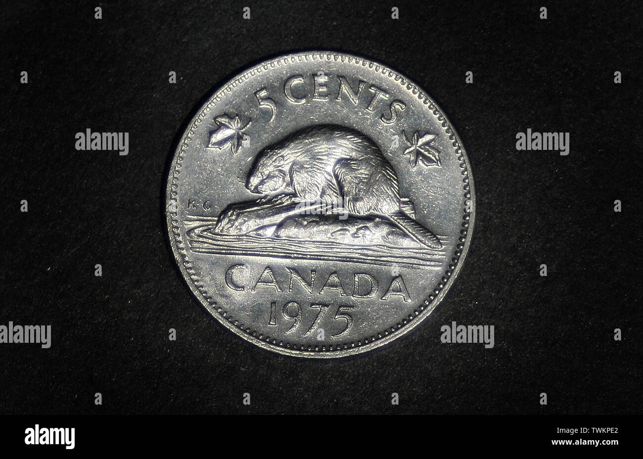 Canada 5 cents, 1982-1989 Stock Photo - Alamy