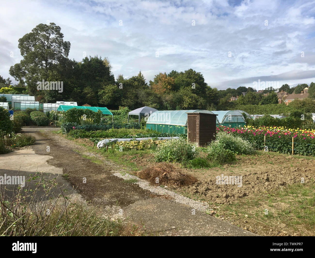 Plots of land for growing fruit and vegetables hi-res stock photography ...