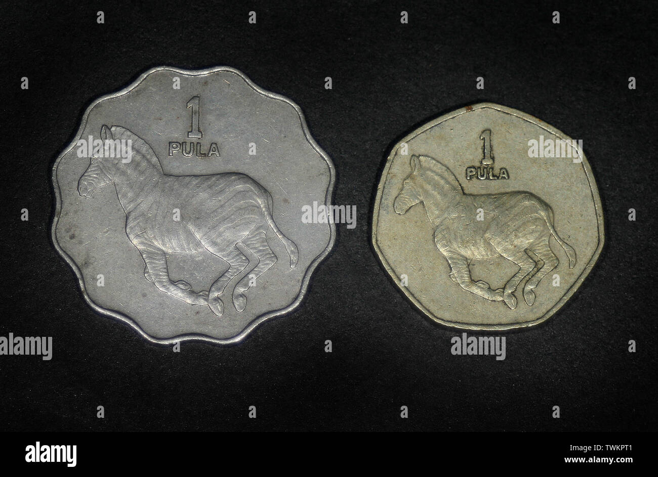 Botswana 1 pula (1976-1987) and 1 pula (1991-2007 Stock Photo - Alamy
