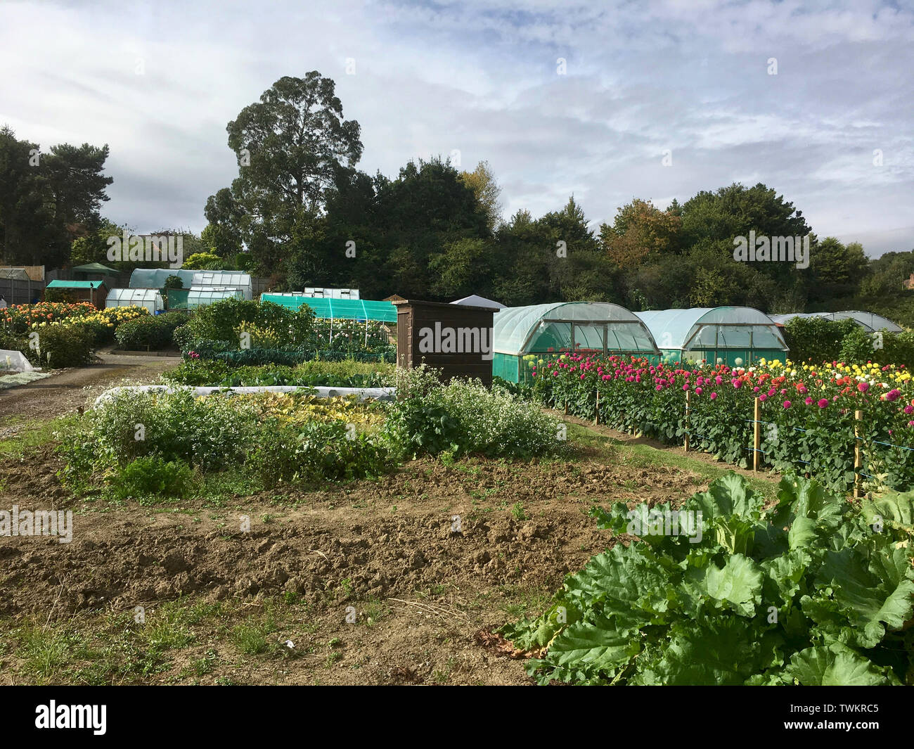 Plots of land for growing fruit and vegetables hi-res stock photography ...