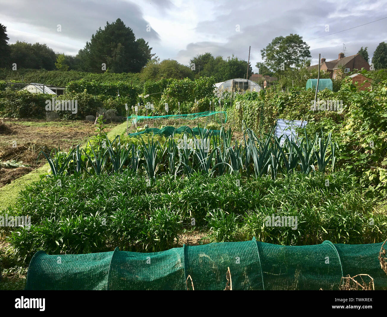 Plots of land for growing fruit and vegetables hi-res stock photography ...
