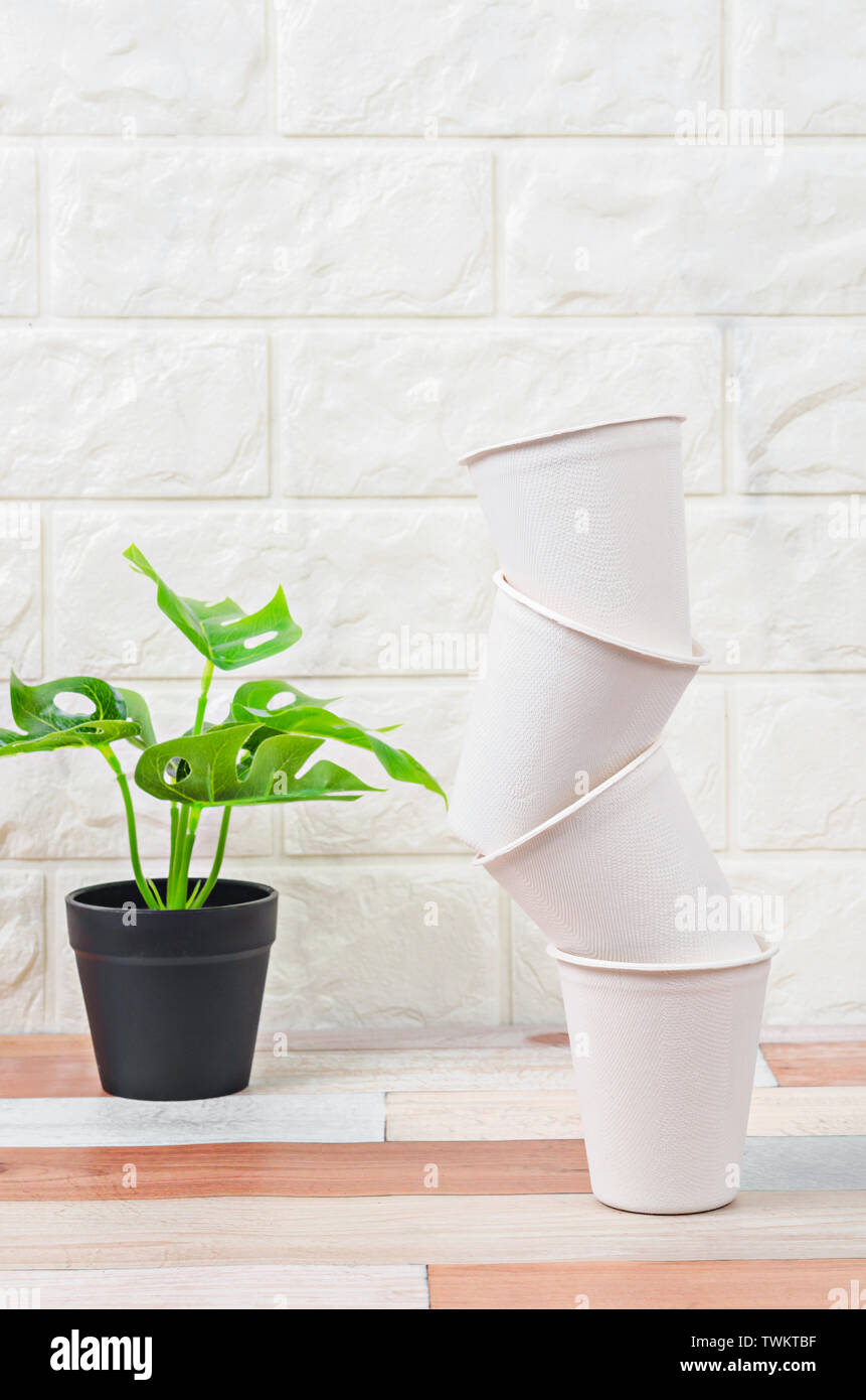 Biodegradable glass make from nature with plant Stock Photo - Alamy