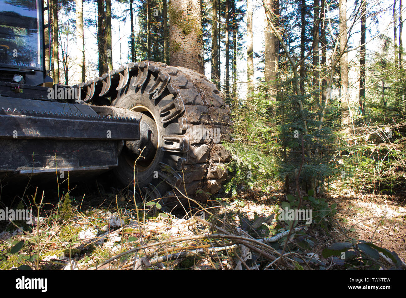 crawler-mounted vehicle in the forest Stock Photo - Alamy