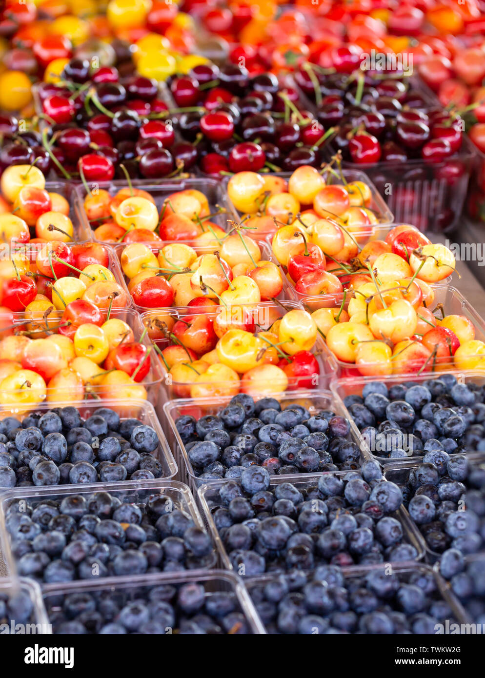 Fresh, ripe blueberries and cherries at an outdoor farmer's market ...