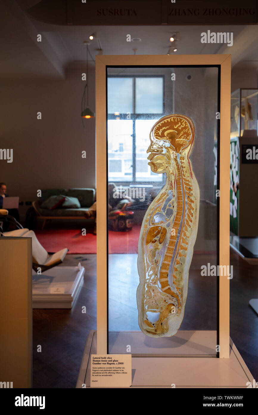 Medical reading room hi-res stock photography and images - Alamy