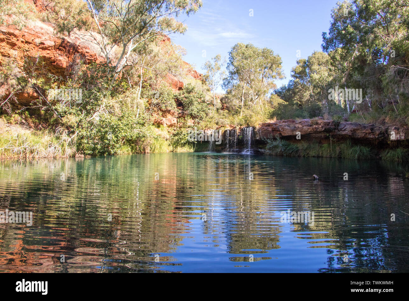 Fern pool, Dales gorge, Karijini national park, Western Australia Stock ...