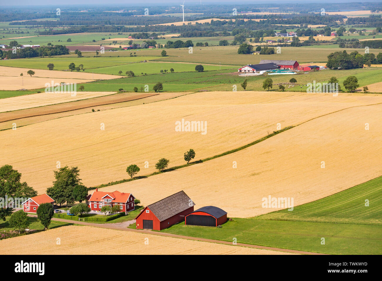 View of a countryside farm in the cornfields Stock Photo - Alamy