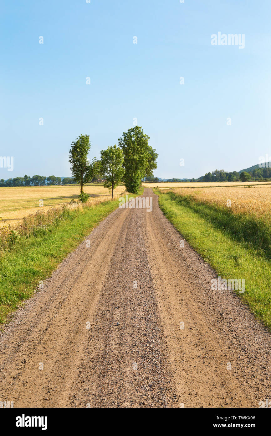 Gravel road in countryside rural landscape Stock Photo - Alamy