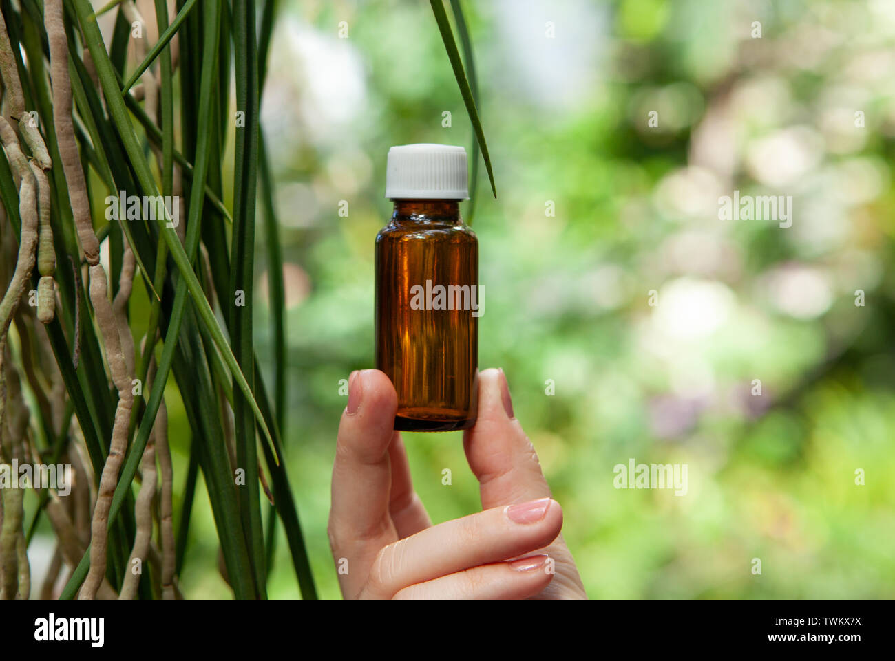 Spa natural essential oil hi-res stock photography and images - Alamy