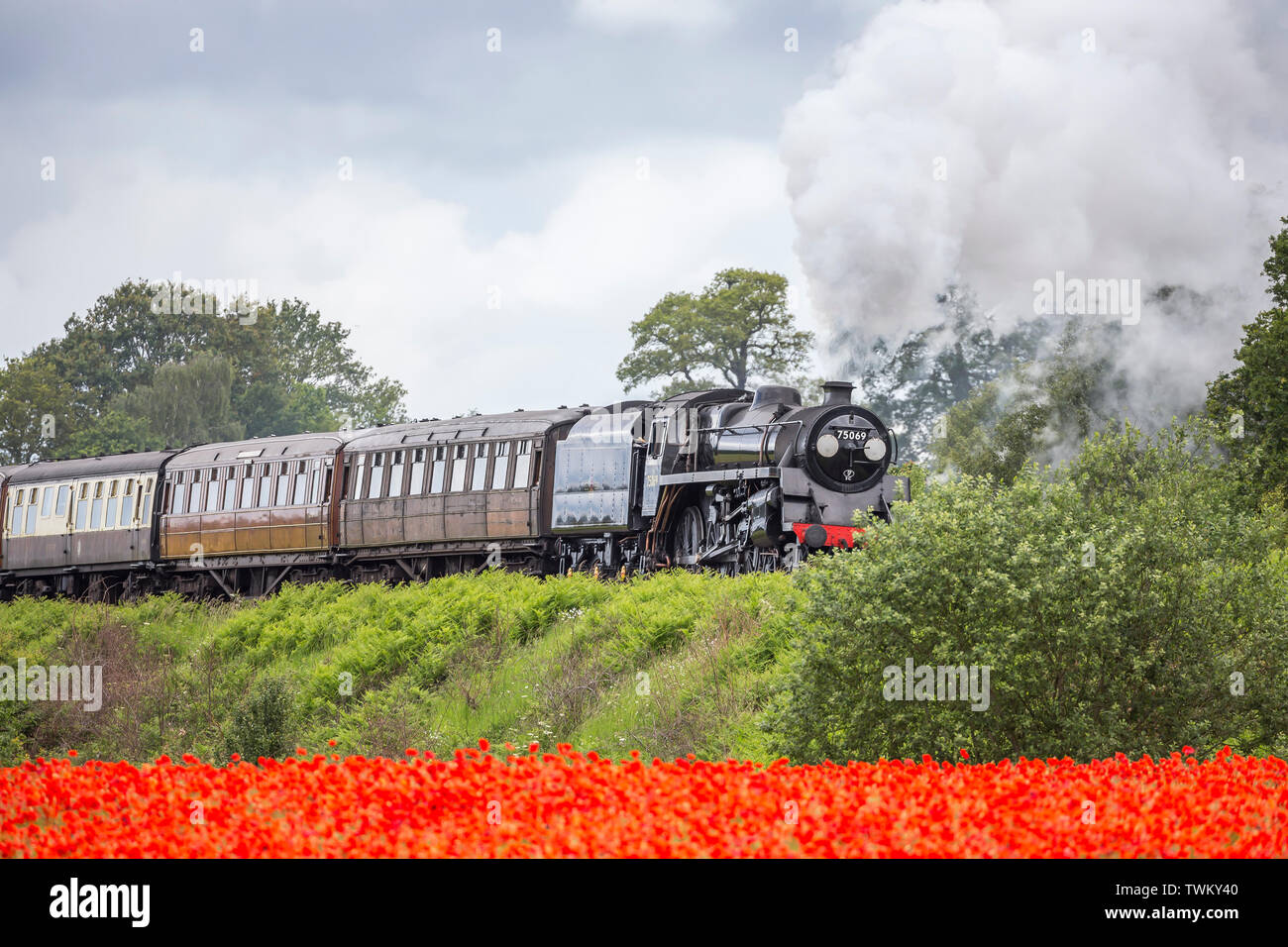 Vintage UK steam train, front, passing through beautiful English summer ...