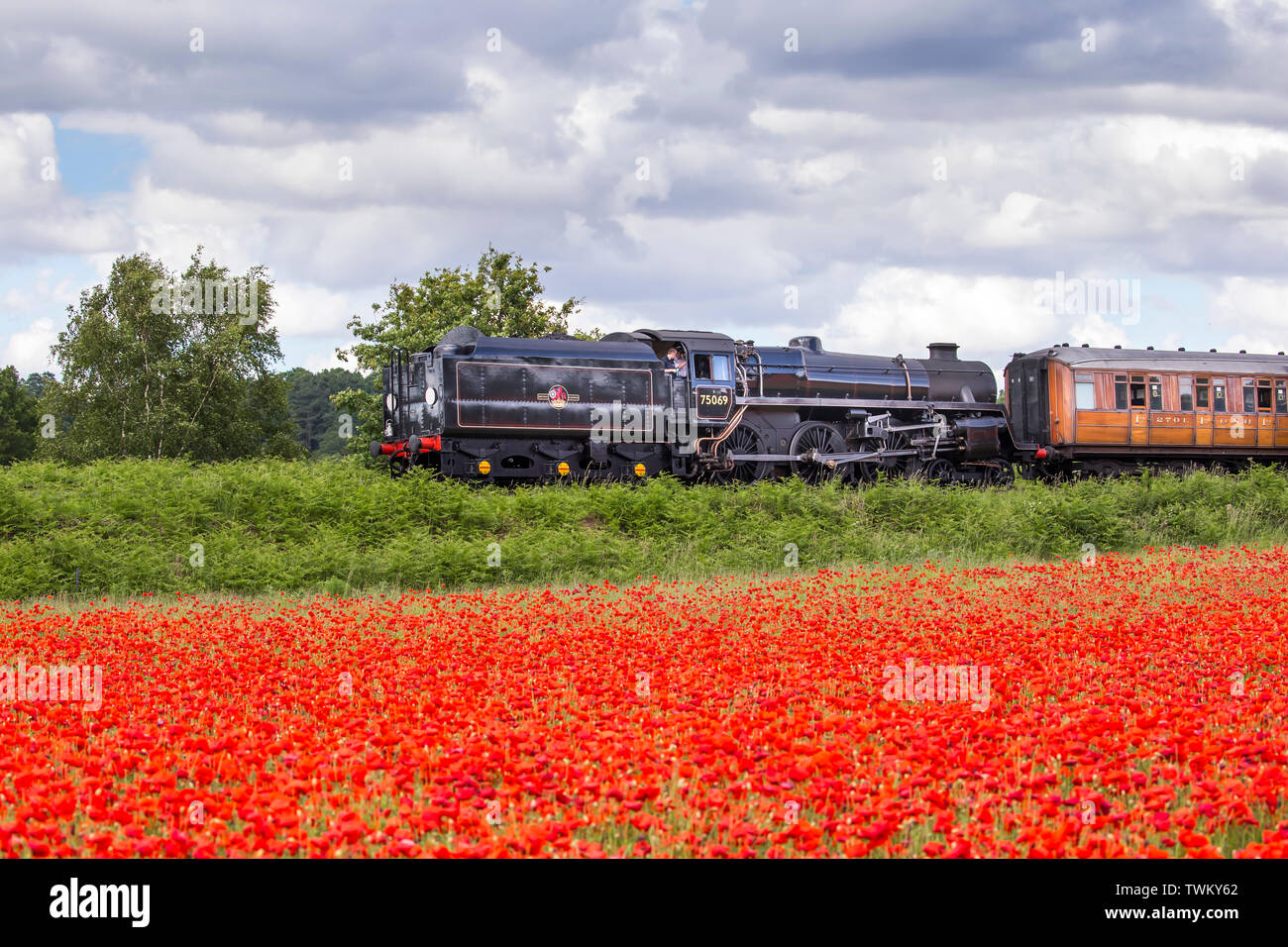 Vintage UK steam train, side view, passing through beautiful English ...