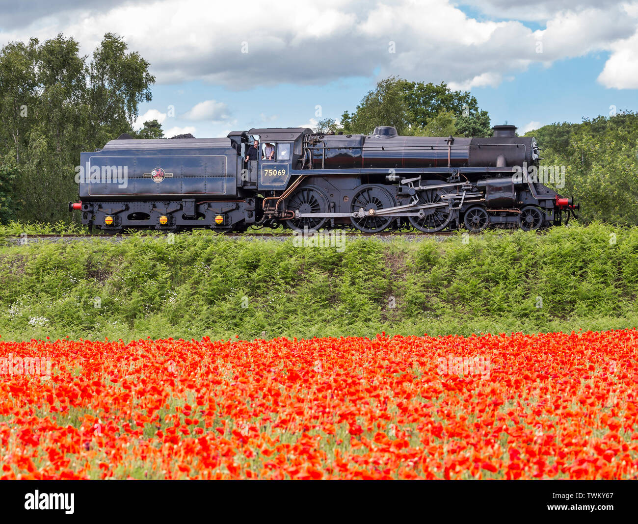 Vintage UK steam locomotive, passing through beautiful English summer ...