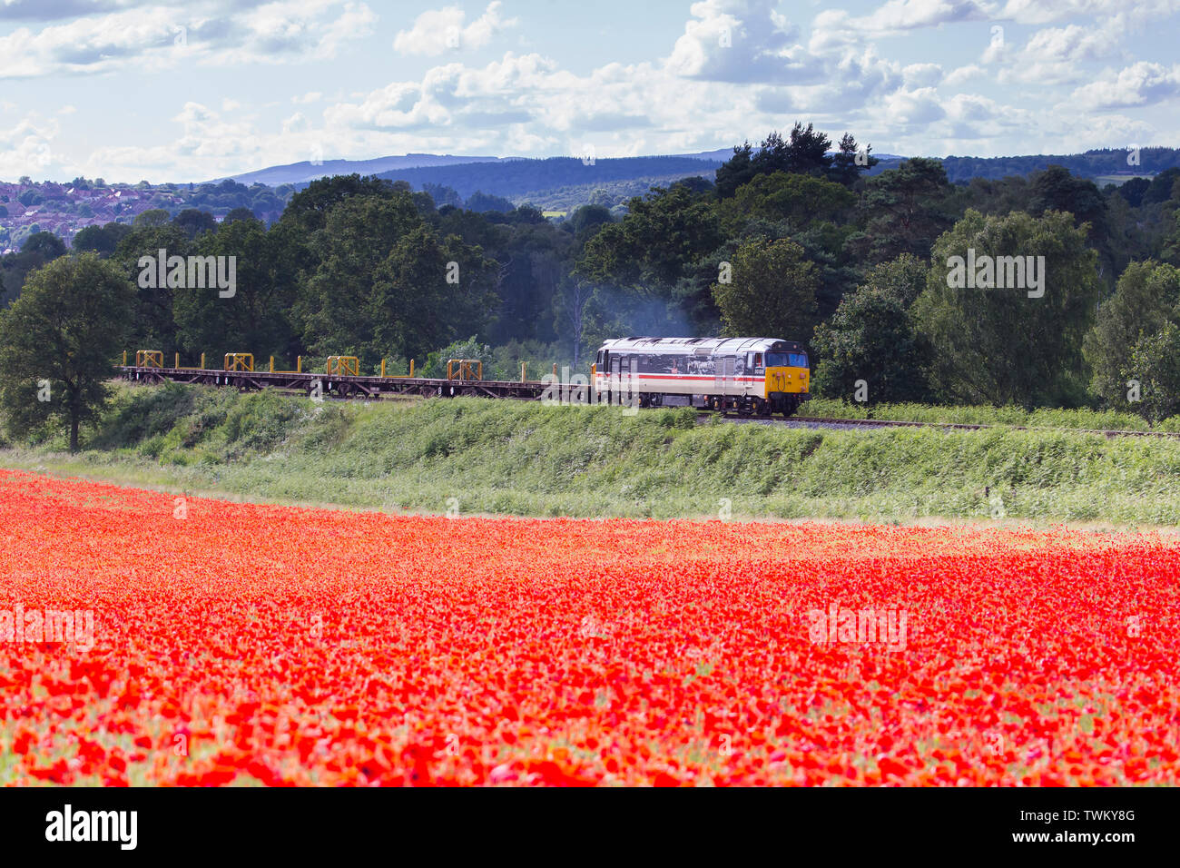 Preserved Class 50 diesel locomotive passing on heritage railway track ...