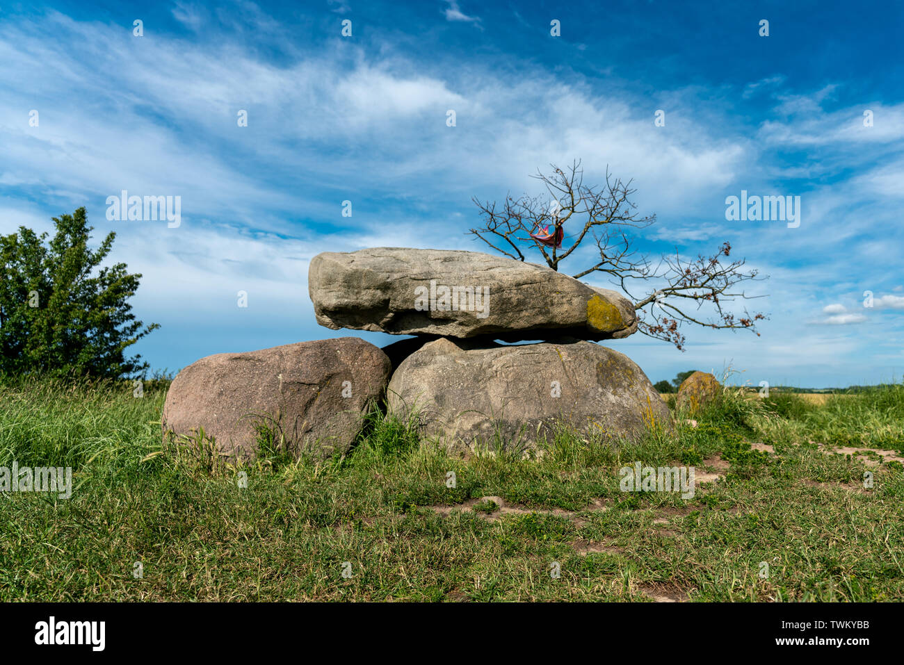 Prehistoric megalith tomb Garz 2 in a corn field near Rerik/baltic ...