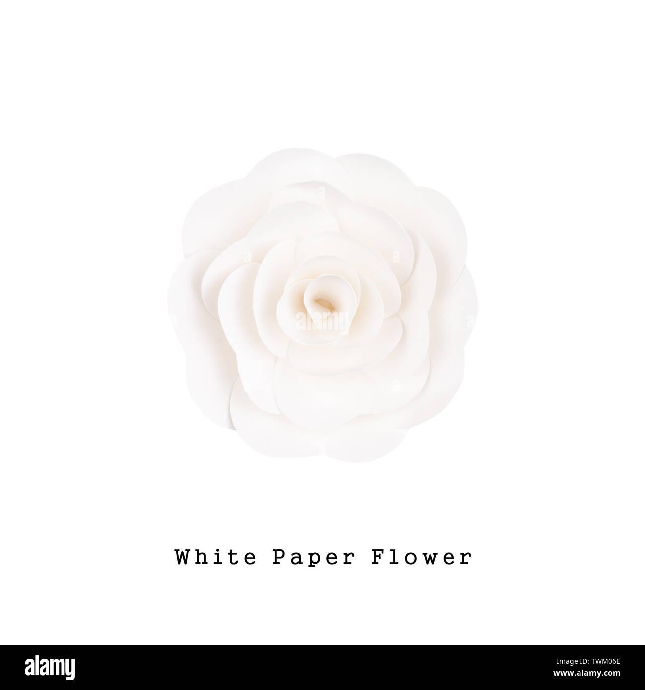 White paper flower handmade, top view, isolated Stock Photo - Alamy