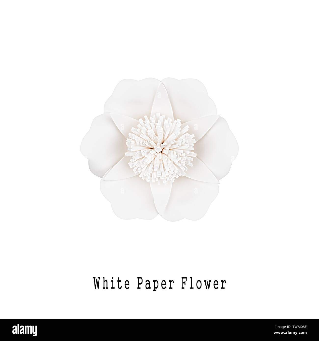 White paper flower handmade, top view, isolated Stock Photo - Alamy
