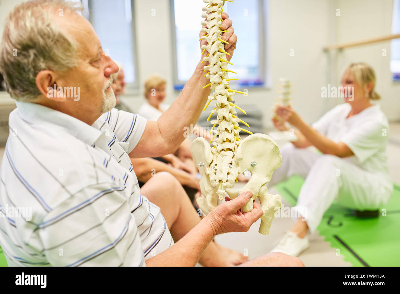 Senior holds spine model in a back training or rehabilitation back ...