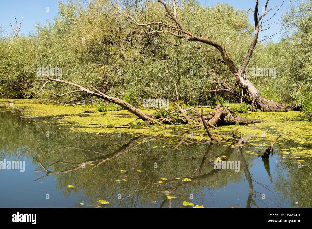 Danube river delta hi-res stock photography and images - Alamy
