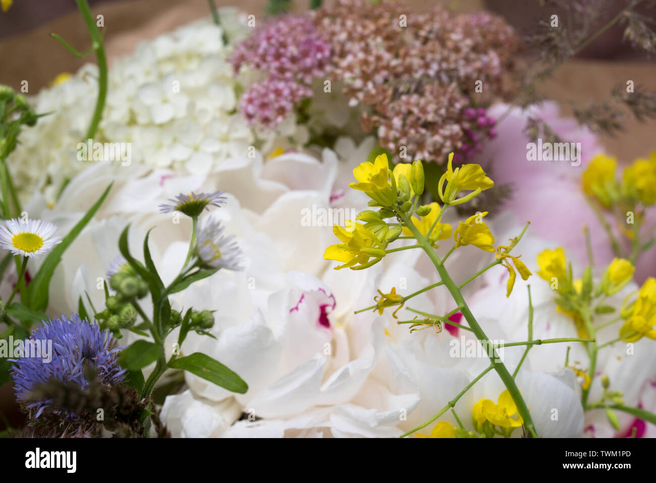Summer bunch of flowers hi-res stock photography and images - Alamy