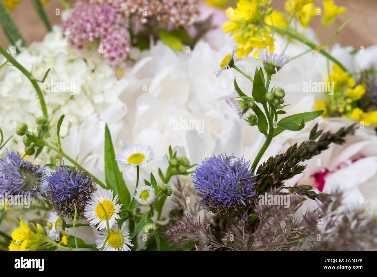 Summer bunch of flowers hi-res stock photography and images - Alamy