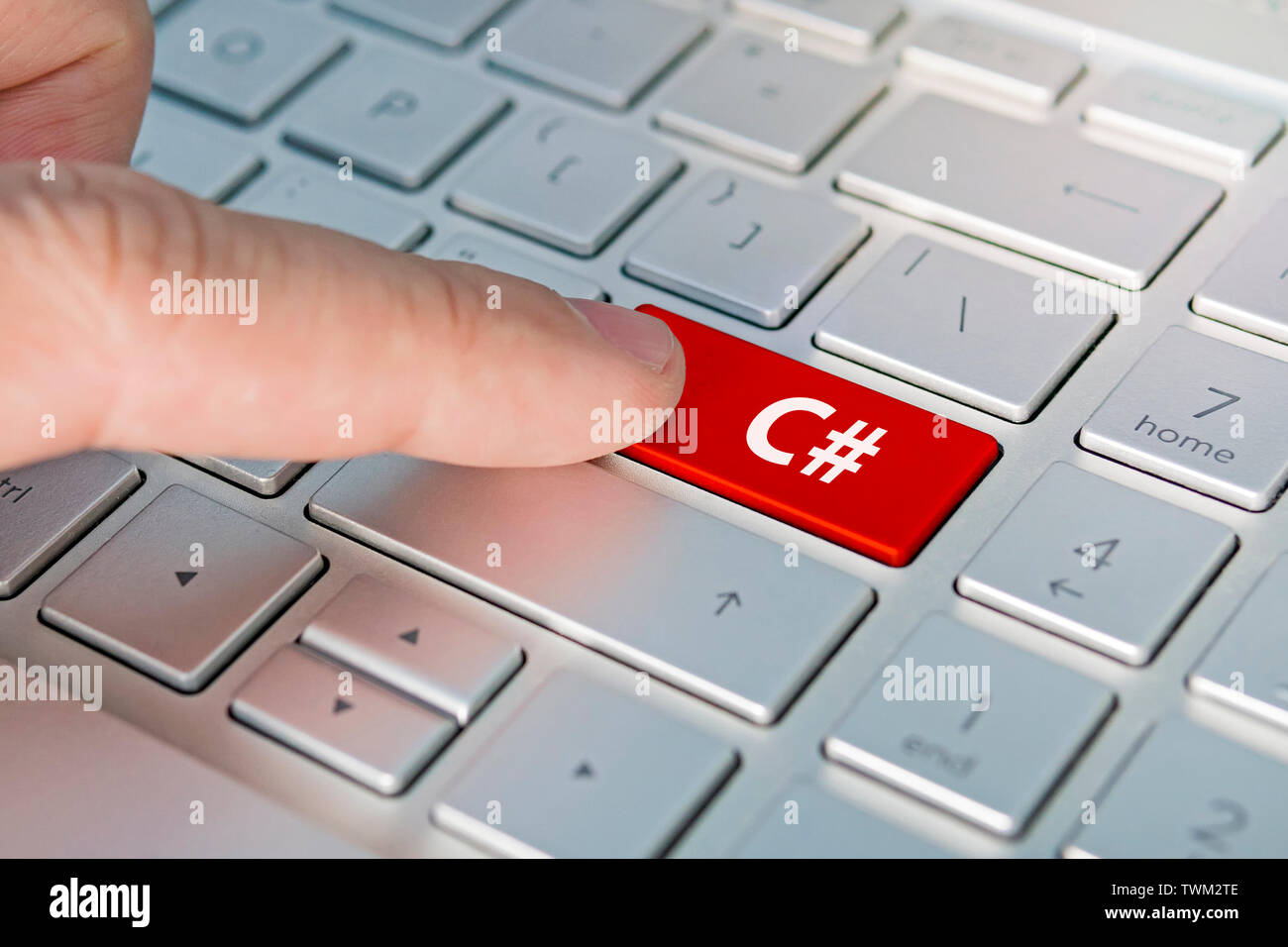 C# computer language. The writing on button modern of gray laptop ...