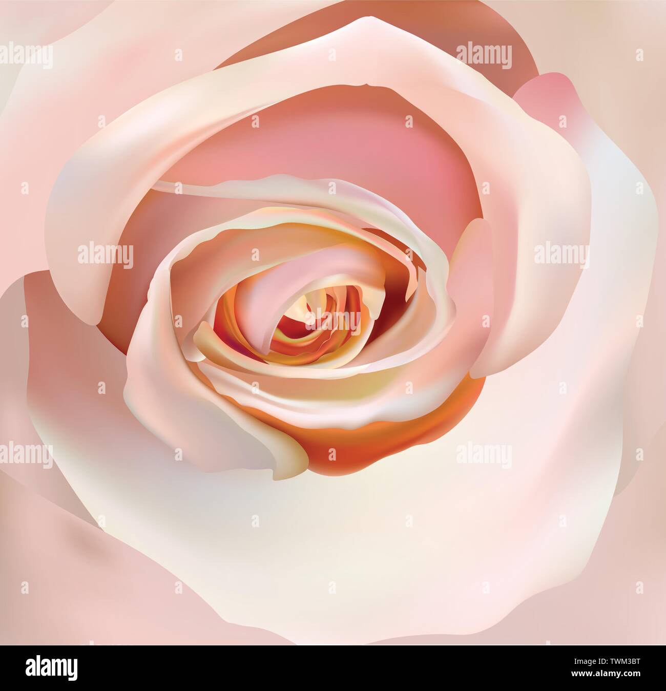 Beige rose close up. 3d realistic rose. Beautiful rose. Vector ...