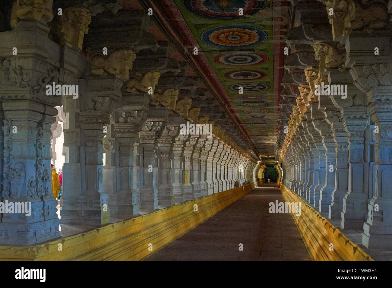 23 Aug 2009 Colourfully painted pillars and ceiling, Ramanathaswami ...