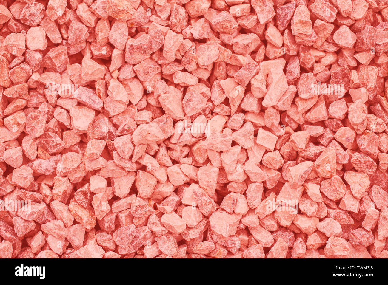 Little red coral hi-res stock photography and images - Alamy
